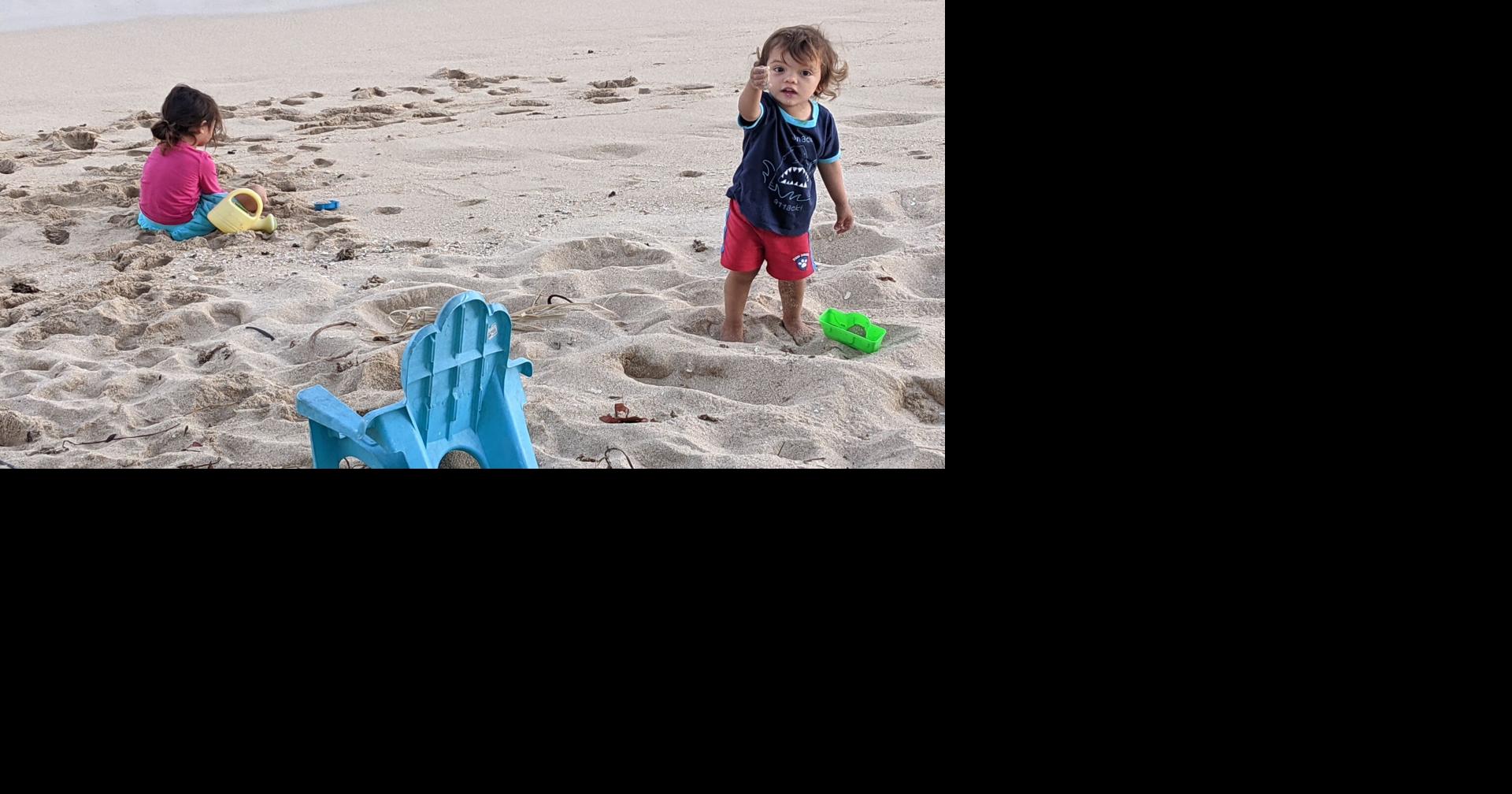 Potential safety risks addressed at Ewa Beach 'Lead Exposure Awareness ...