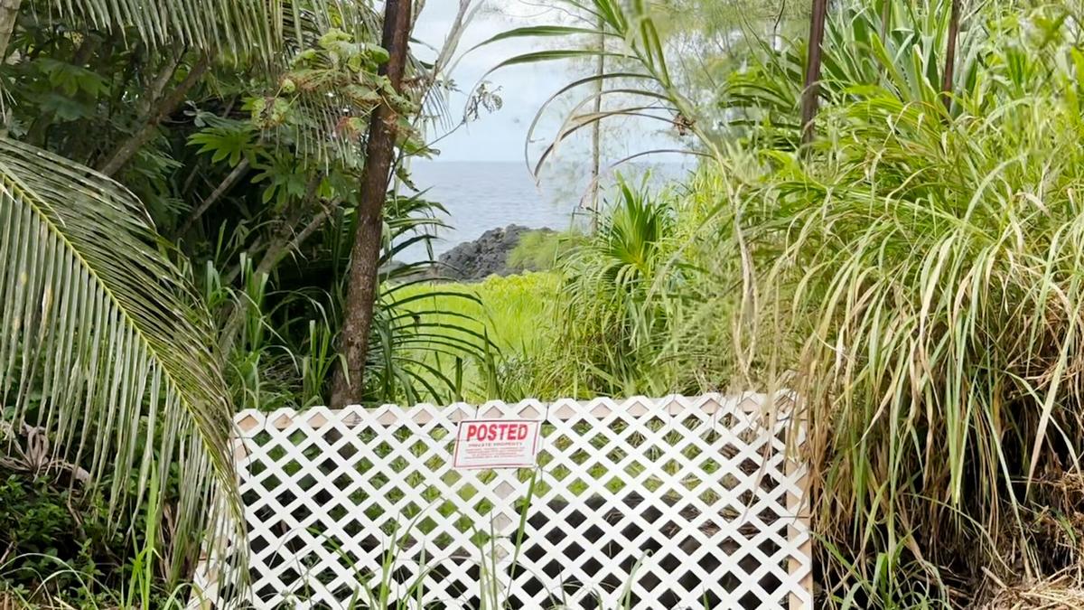 Dana Ireland Murder Case | Who was Albert Lauro Jr.? | News | kitv.com