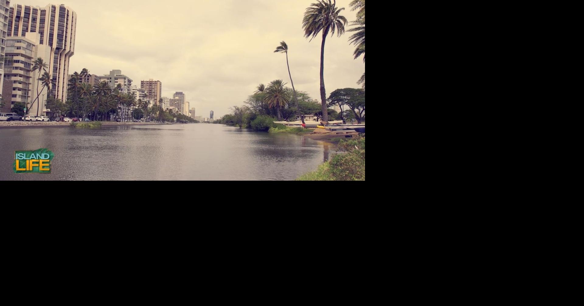 The Blue Ala Wai Canal Foundation is working to restore the Ala Wai ...