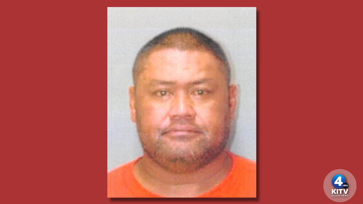 Court documents reveal new details about the brutal attack in Waianae ...