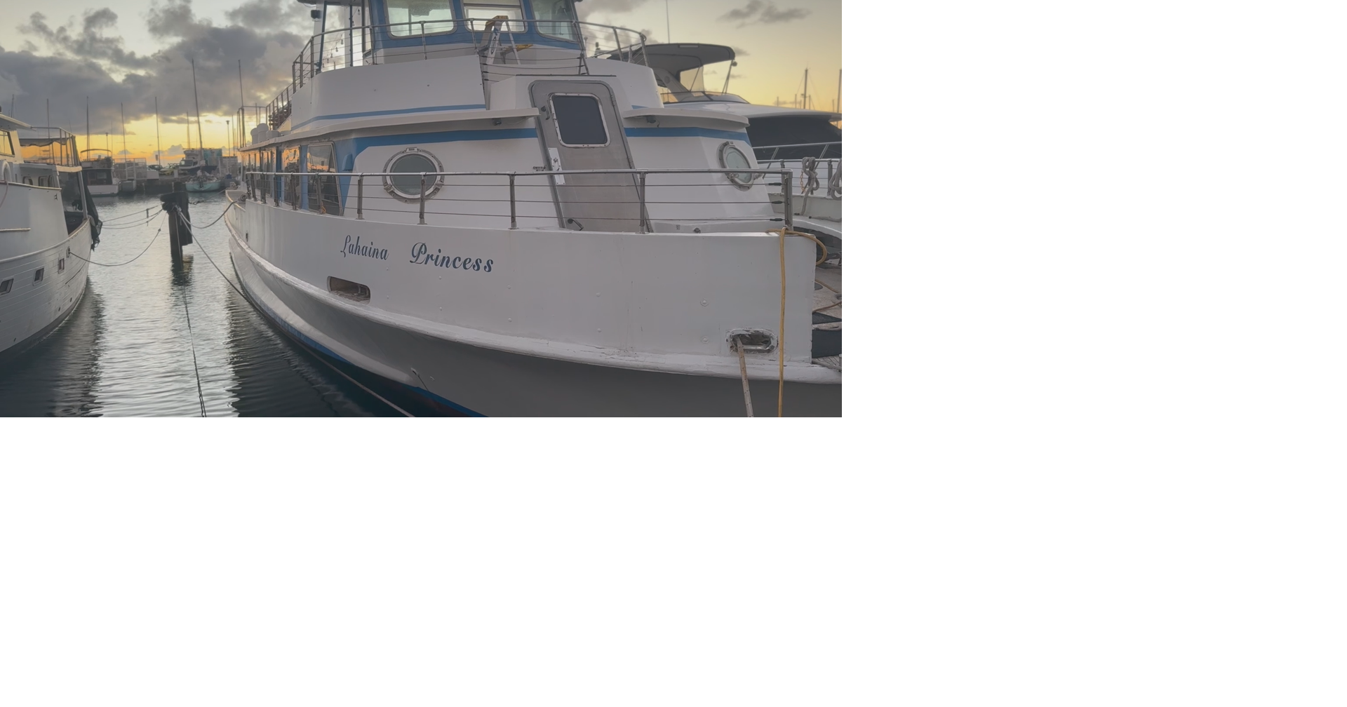 Whale watching returns to Lahaina Harbor | Devastation in Lahaina ...