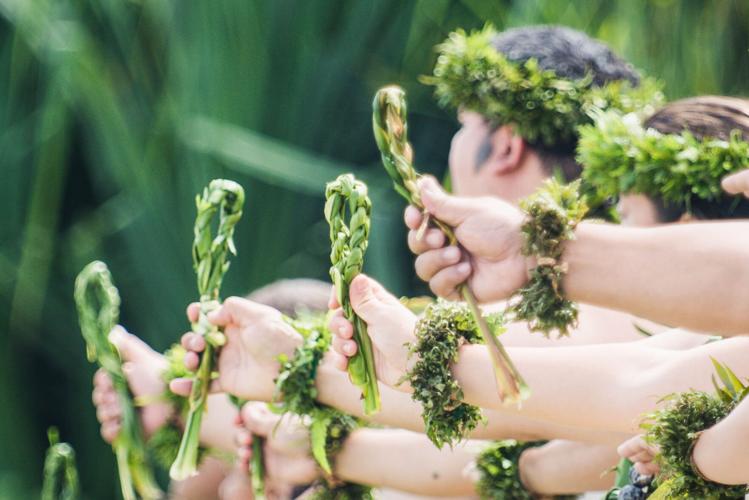 Kapu'uola Hula Festival returns to West Oahu | Local | kitv.com