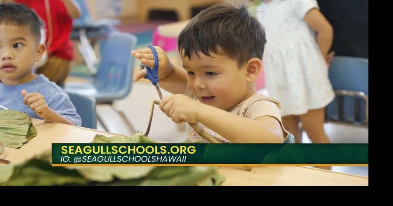 Best of Hawaiʻi: Seagull Schools is a top choice for working moms and ...