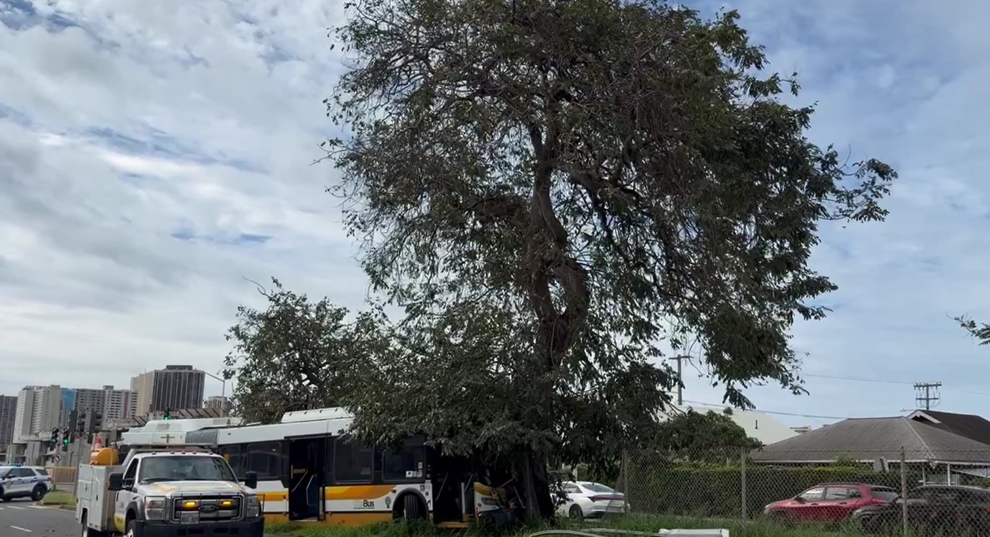 City bus driver dies from injuries after bus hits tree on North ...