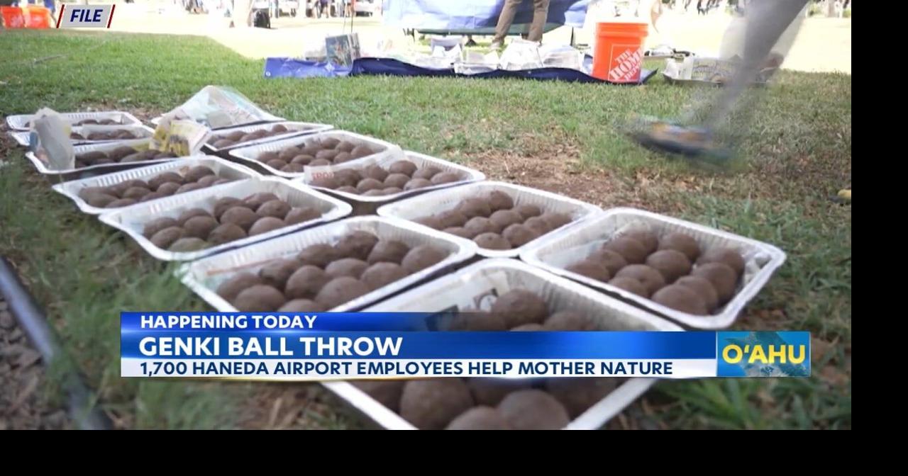 Japan's Haneda Airport employees aid Ala Wai cleanup with Genki Balls ...