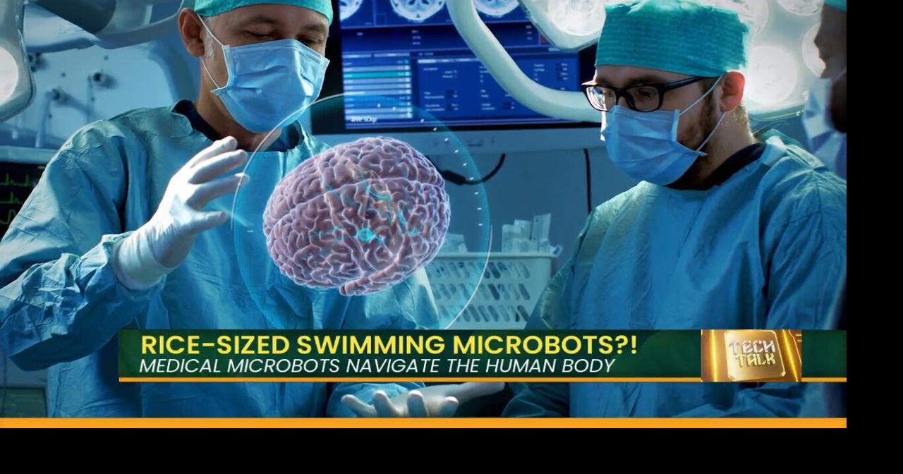 Autonomous Micro-bots Learn to Swim and Heal | Island Life Live | kitv.com