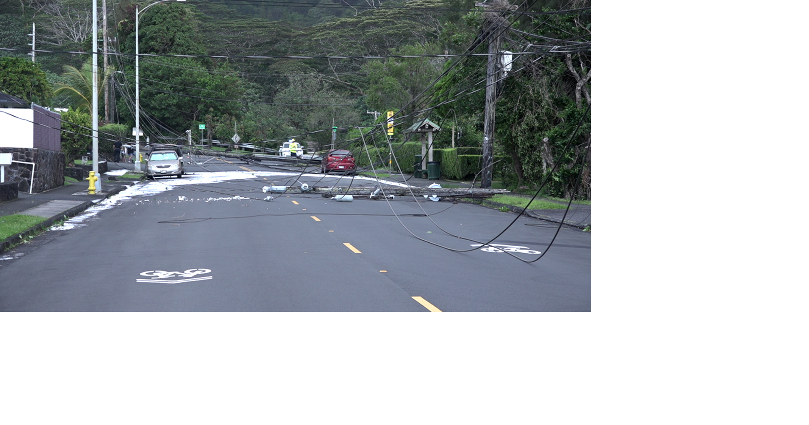 Two electric poles fall down at Manoa Road, road remains closed | News ...