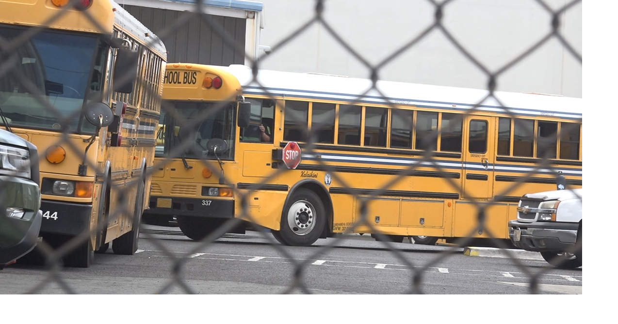 School bus route cancellations causing more traffic on the roads | News | kitv.com