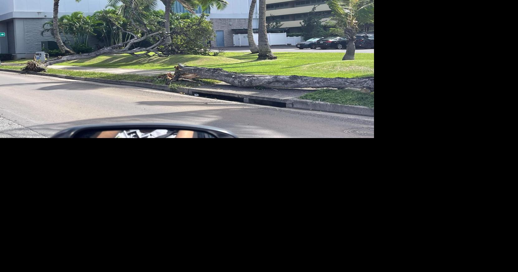 Thousands of residents without power due to strong winds | Local | kitv.com