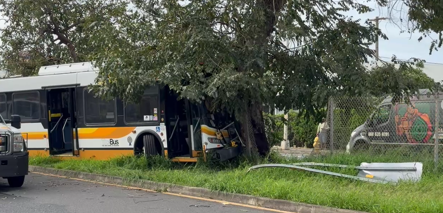 City bus driver dies from injuries after bus hits tree on North ...