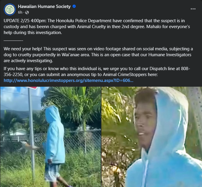 Animal cruelty suspect arrested after video of dog abuse goes viral ...