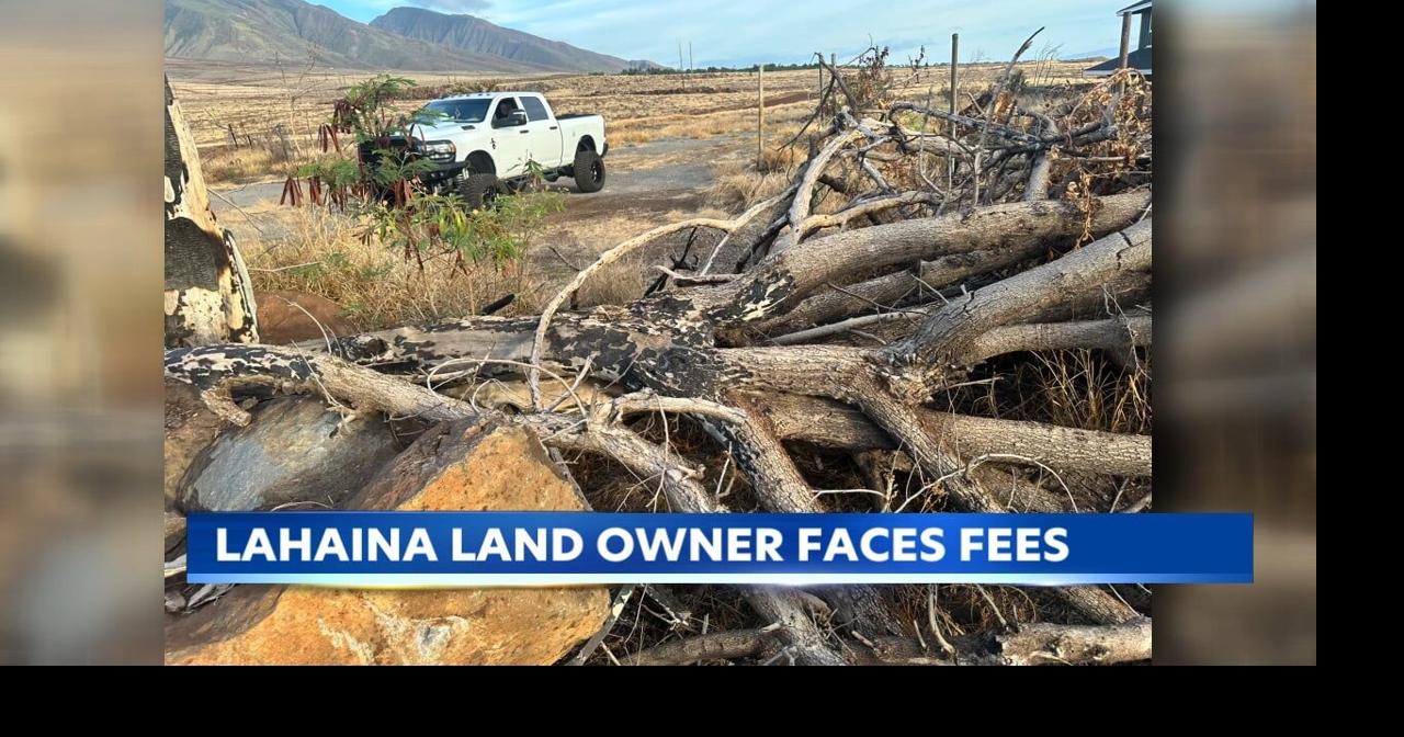 Lahaina landowner pays thousands to clean land after suspected illegal ...