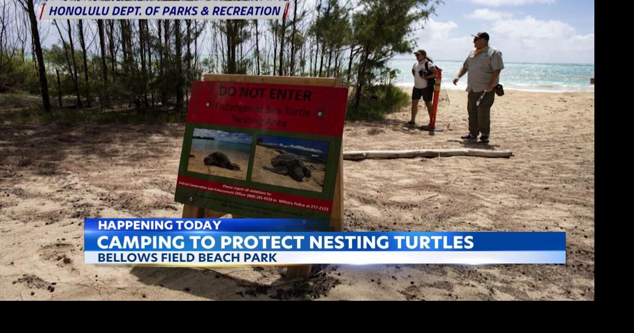 Overnight camping at Bellows will be closed due to nesting turtles ...