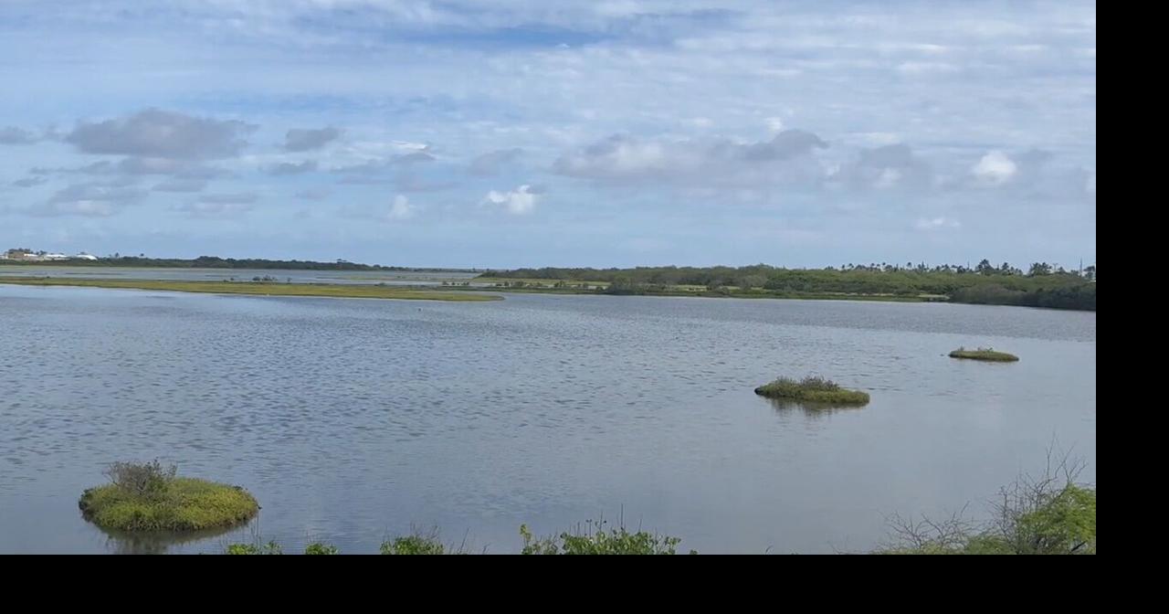 Kāneʻohe residents report illness linked to strong odor | News | kitv.com