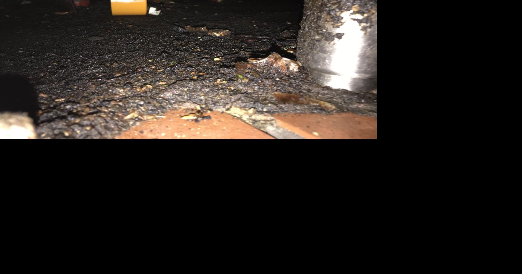 Lahaina Fish Company given red DOH placard, forced to shut down ...