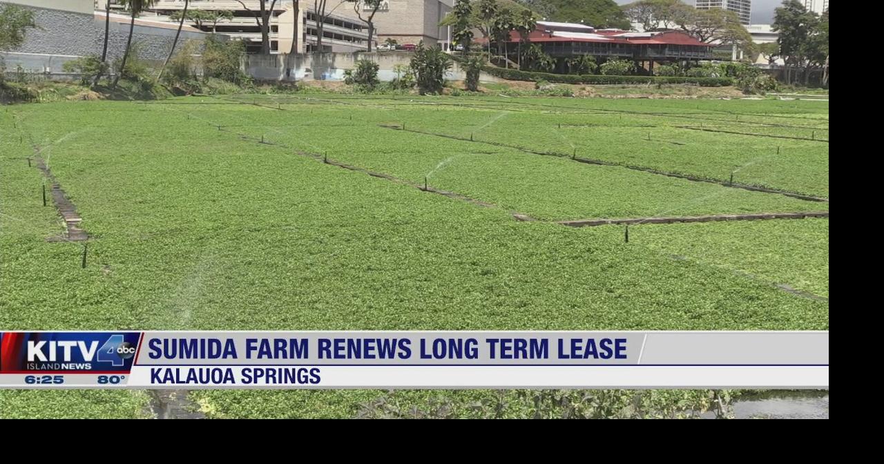 Sumida Farm renews long-term lease | News | kitv.com