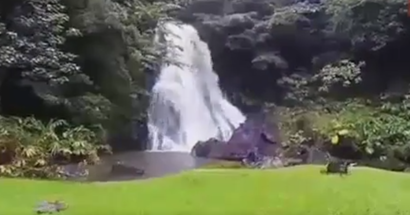 Kapolei woman, 27, identified as victim in deadly fall at Luakaha Falls | Local | kitv.com