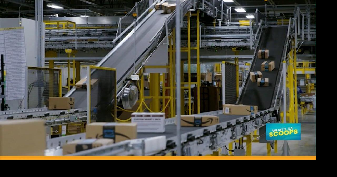 Amazon to Cut 16,000 Jobs + Illegal Horn Honking? | Island Life Live ...