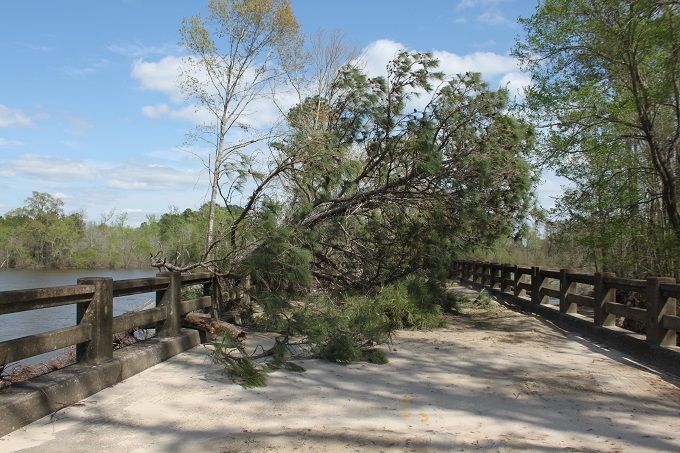 Hwy 63 Burr’s Ferry Bridge ribbon cutting and possible re-opening will ...