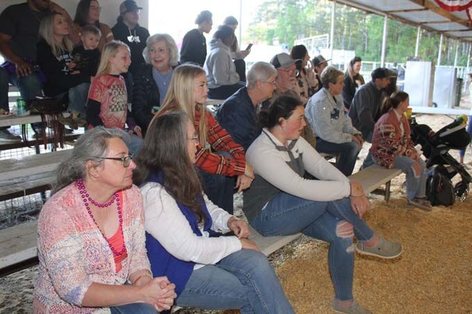 Who was squealing the loudest, the kids or the pigs? | Local News ...