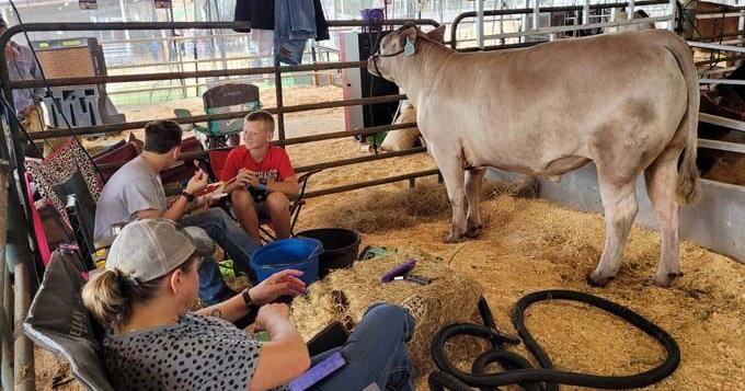 Tyler County Fair Ends 2025 Run | Local News | kjas.com