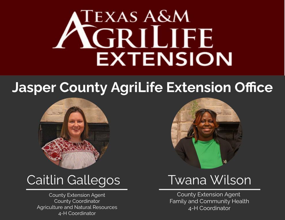 Jasper County Extension Office Connects Research to Real-Life Community ...