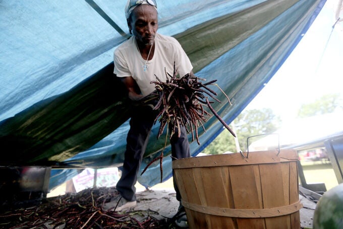 It's all about purple hull peas | Local News | kjas.com