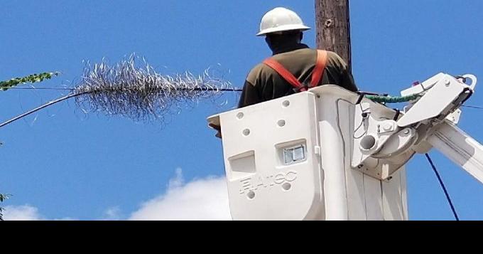 NewWave cable & internet restored after tree knocked out service to 5k ...