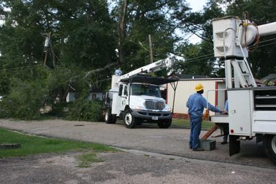 Tree falls on power lines knocking out power | Local News | kjas.com