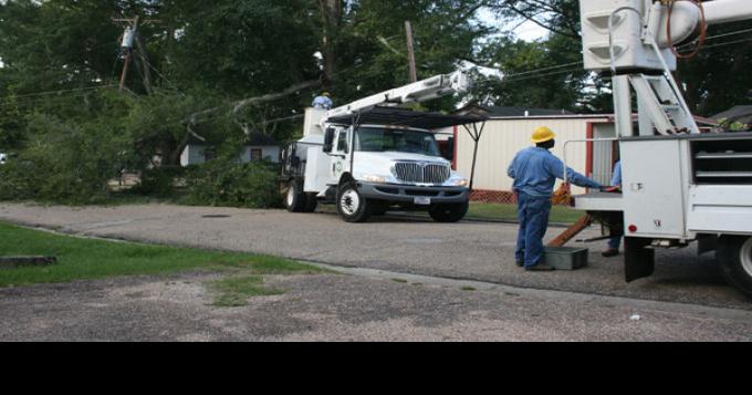 Tree falls on power lines knocking out power | Local News | kjas.com