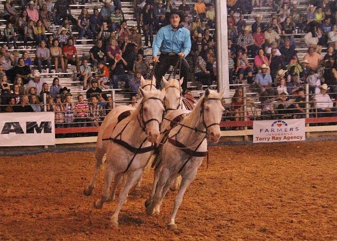 Rodeo officials say possibly record turnout on Jasper County Cowboy ...