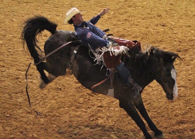 Rodeo officials say possibly record turnout on Jasper County Cowboy ...