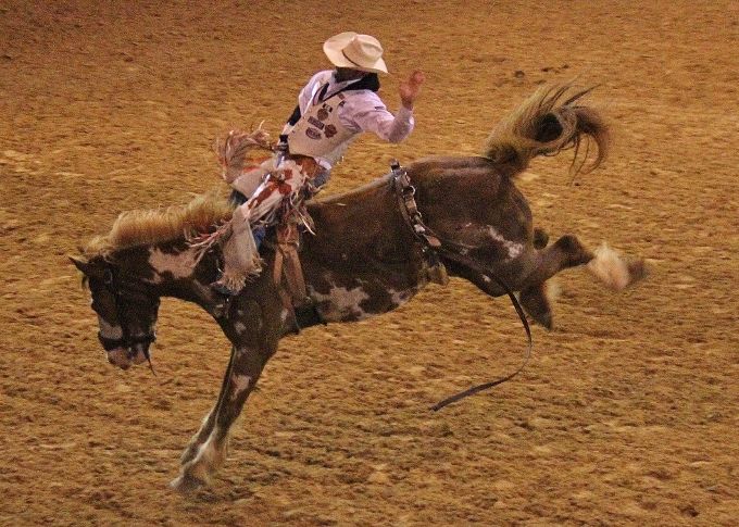 Rodeo officials say possibly record turnout on Jasper County Cowboy ...