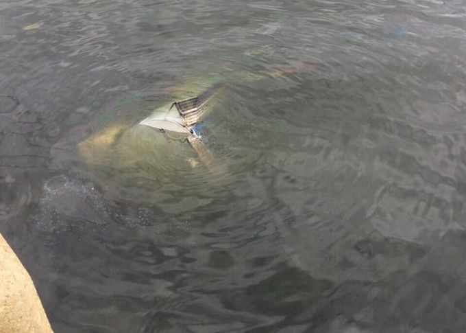 Two big-rigs collide on Pendleton Bridge, only minor injuries reported ...