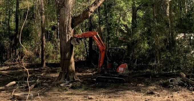 Man seriously injured in a tree cutting accident | Local News | kjas.com