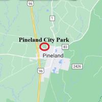 City of Pineland says there’s problems associated with walking dogs at ...