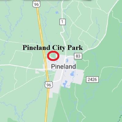 City of Pineland says there’s problems associated with walking dogs at ...