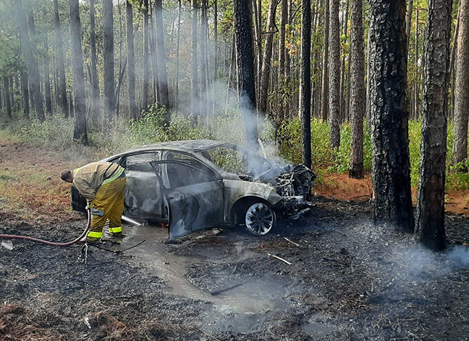UPDATED - One person is dead after car hits tree and bursts into flames ...
