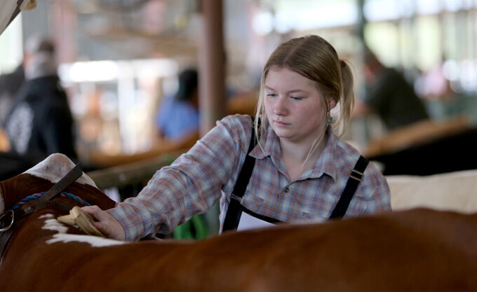 Jasper County Junior Livestock Show | Local News | kjas.com