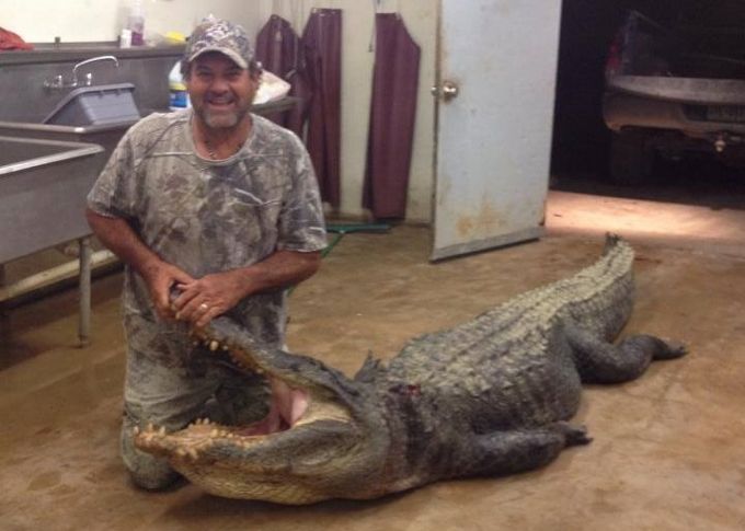 Massive alligator killed behind house at Rayburn, suspected in killing ...