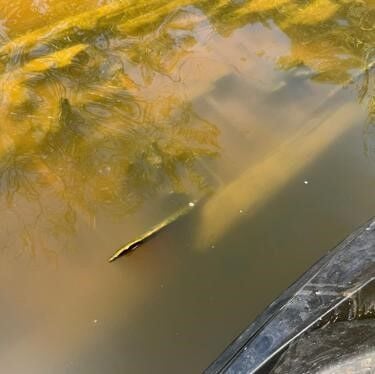 Low water level in the Neches River reveals old sunken vessels | Local ...