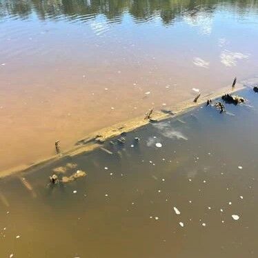 Low water level in the Neches River reveals old sunken vessels | Local ...