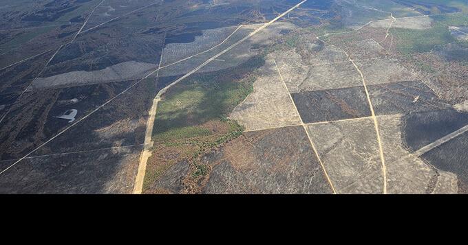 Fire continues in Beauregard Parish but firefighters are gaining ground ...