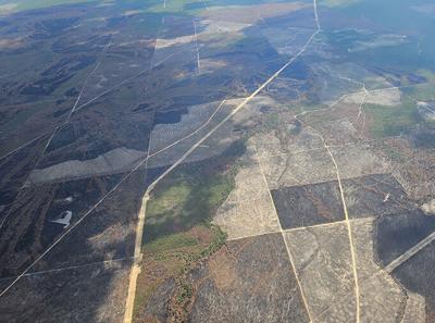 Fire continues in Beauregard Parish but firefighters are gaining ground ...
