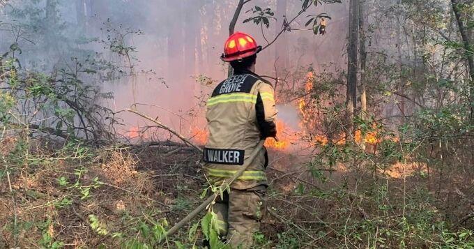 Wildfire burned close to home of former NFL star Eugene Seale | Local ...