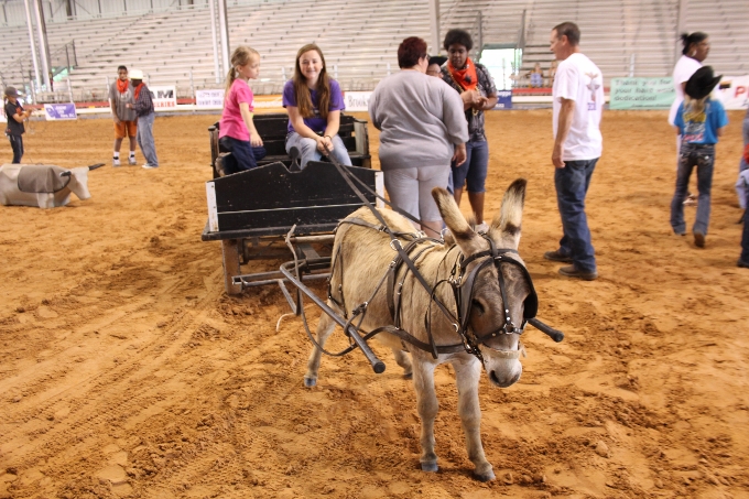 Handi-Capable Rodeo held in Lions Club Arena | Local News | kjas.com