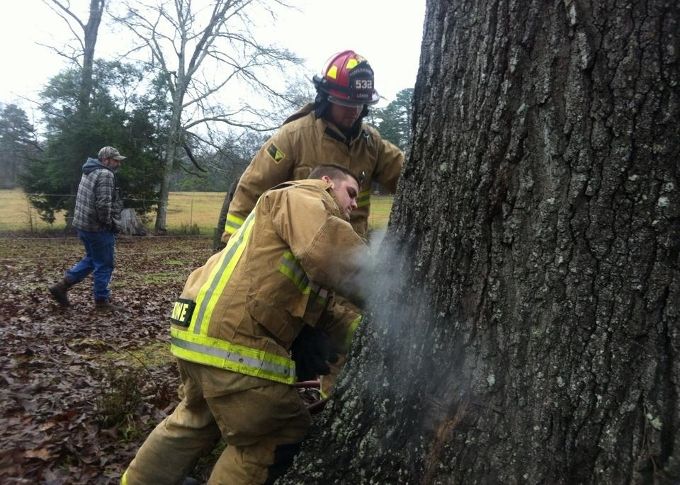Old oak tree set on fire by juveniles with fireworks | Local News ...