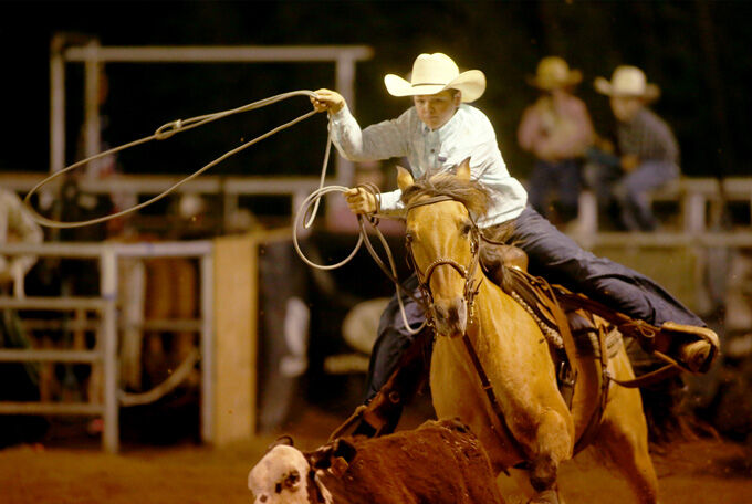 Coming out of chute #3, it's the 2023 Jasper Pro Rodeo | Local News ...