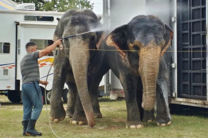 Carson & Barnes’ Circus Saurus returns to Jasper on Sun, Oct 6th ...