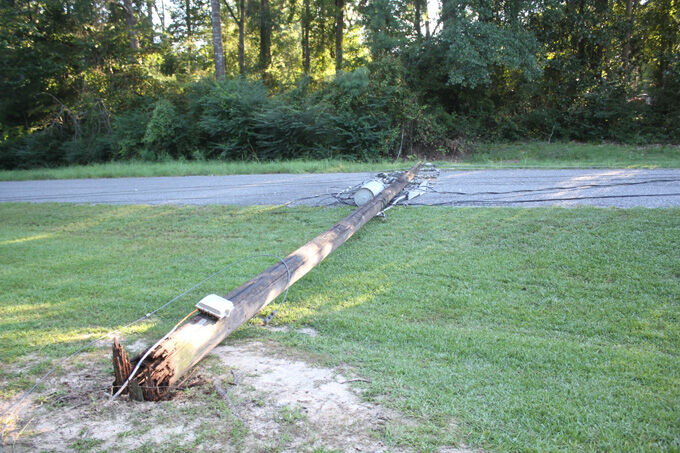 Tree falls on power line knocking out power on south side of town ...